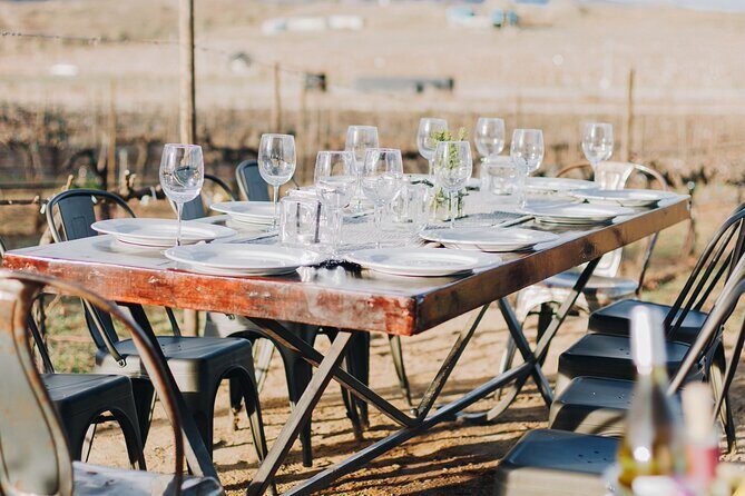 Tasting and tour through the vineyard - Practical Details and Tips