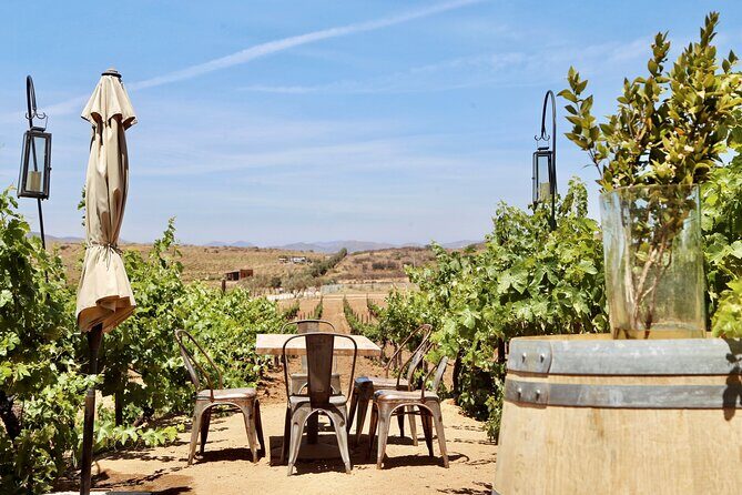 Tasting and tour through the vineyard - Who Will Enjoy This Tour?