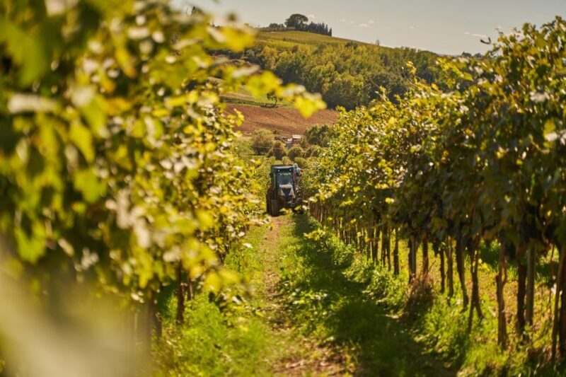 Tasting and Tour Vino Nobile di Montepulciano - Key Points