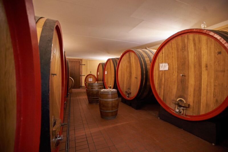 Tasting and Tour Vino Nobile di Montepulciano - The Itinerary in Detail