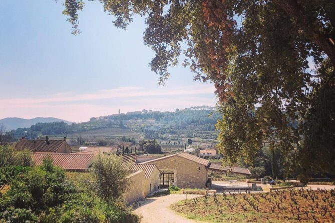 Tasting Bandol Wines & Visit of Cellar (in English) - An In-Depth Look at the Tour Experience