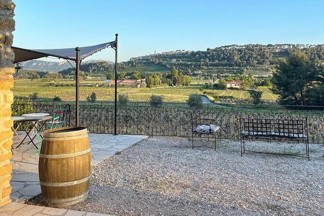 Tasting Bandol Wines & Visit of Cellar (in English) - Final Reflection