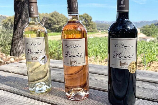 Tasting Bandol Wines & Visit of Cellar (in English) - Frequently Asked Questions