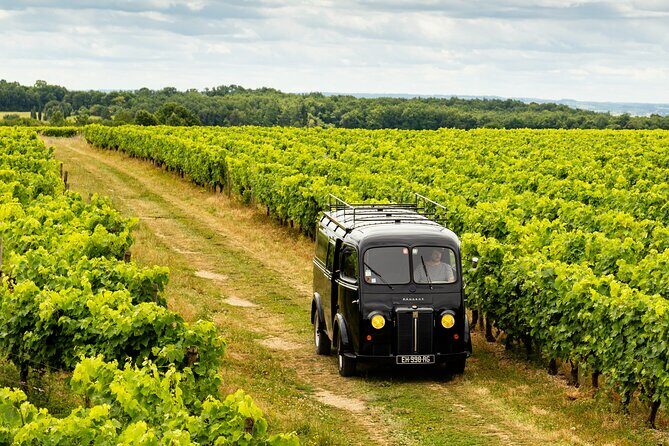 Tasting Bourgoin Cognac the real winegrower's cognac - Key Points