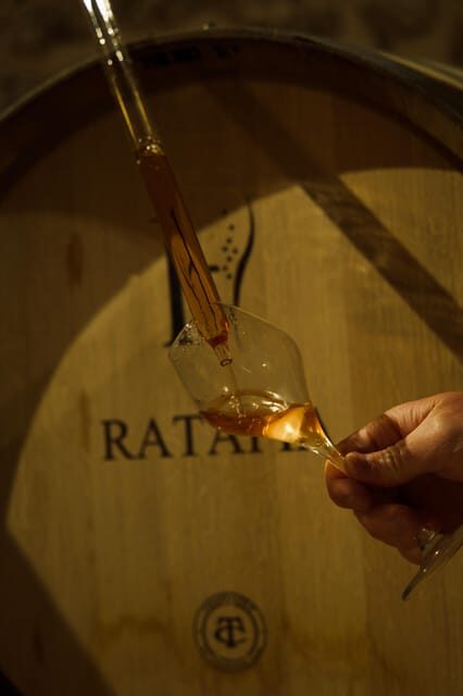 Tasting Experience: Discover our Champagnes in Marne Valley - Final Thoughts: Who Will Love This Experience?