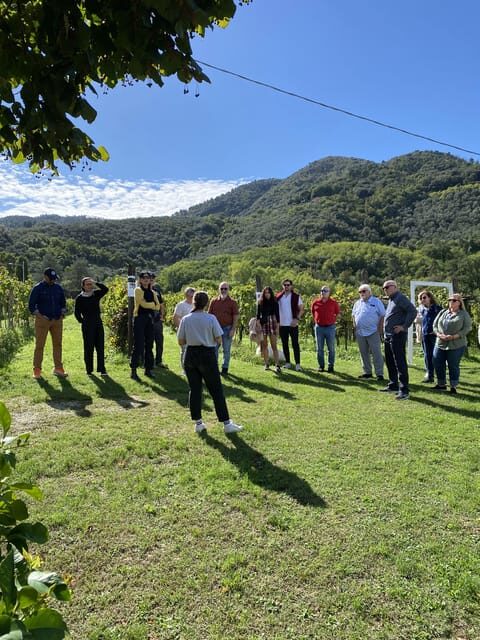 Tasting in a Tuscan Vineyard with transfer from Lucca - The Group Size and Personal Touch
