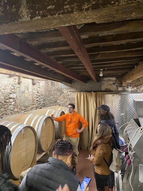 Tasting in a Tuscan Vineyard with transfer from Lucca - Why This Tour Works for Different Travelers