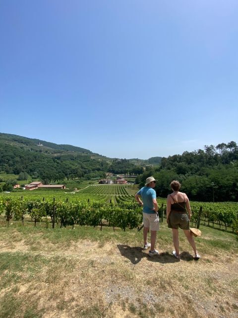 Tasting in a Tuscan Vineyard with transfer from Lucca - FAQs