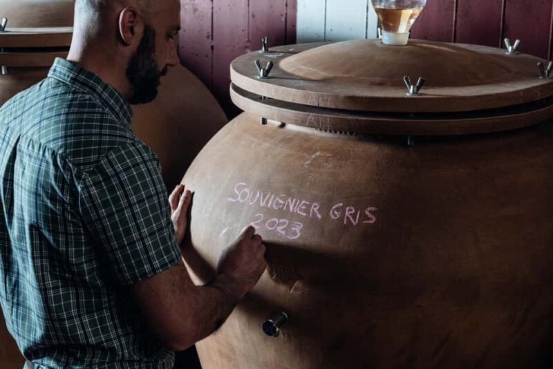 Tasting in the cellar, in Caprino Veronese, Pesina. - Final Thoughts