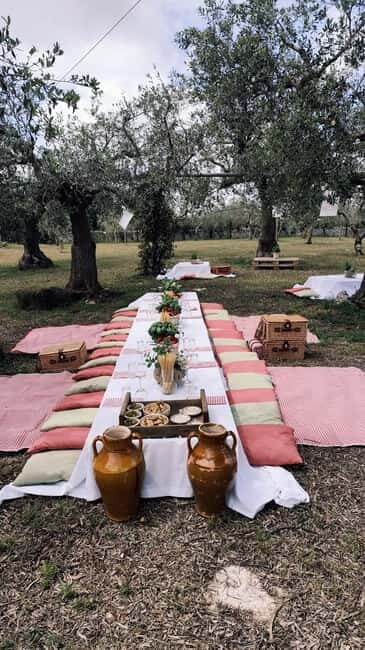 Tasting in the countryside of Conversano: Picnic among the olive groves - A Taste of Authentic Apulia: Picnic Among the Olive Groves of Conversano