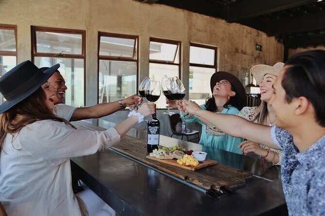 Tasting of 5 wines and tour at the winery Rondo del Valle - Key Points