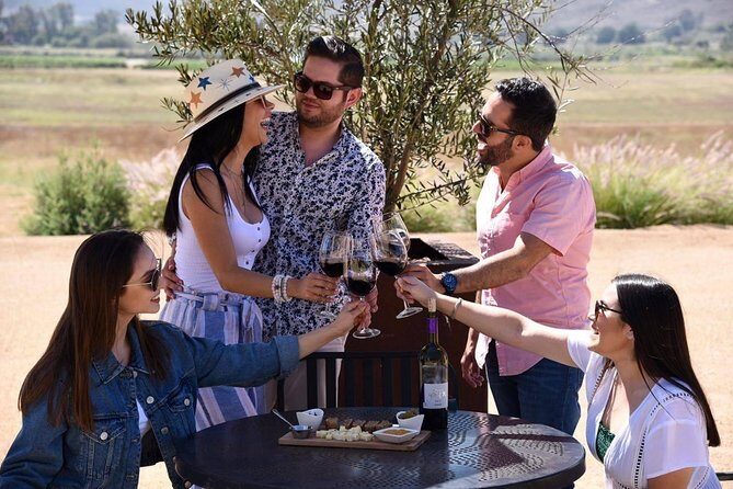 Tasting of 5 wines and tour at the winery Rondo del Valle - Practical Tips for Your Visit