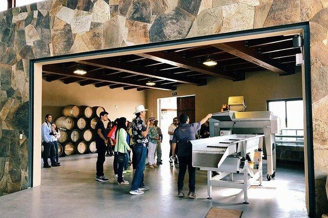 Tasting of 5 wines and tour at the winery Rondo del Valle - Who Should Do This Tour?