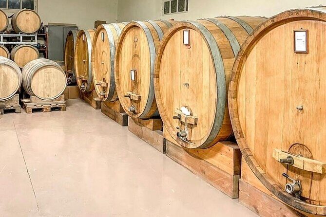 Tasting of 7 wines in the Langhe and visit to the cellar - Exploring the Langhe Wine Experience: What to Expect