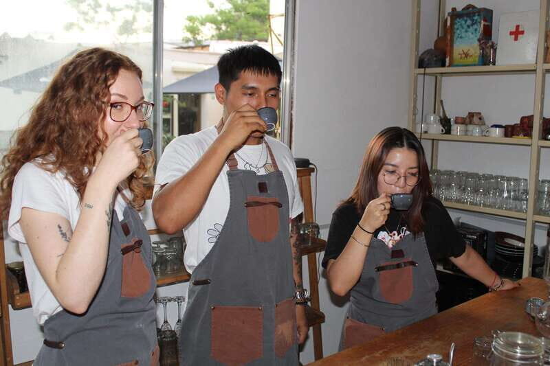 Tasting of Oaxacan Coffees - Final thoughts