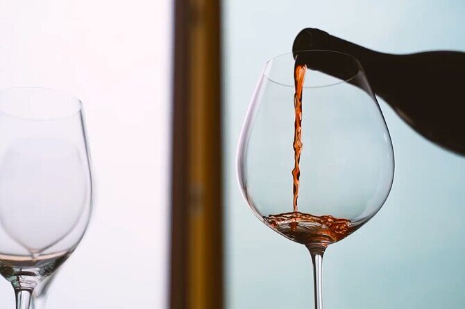 Tasting of Organic Mountain Wines with Vineyard and Cellar Tour - Tasting and Local Flavors