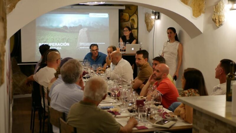 Tasting: Reserve Wines (Rioja and Ribera del Duero) +Pairing - Summary of Who This Tour Is Best For