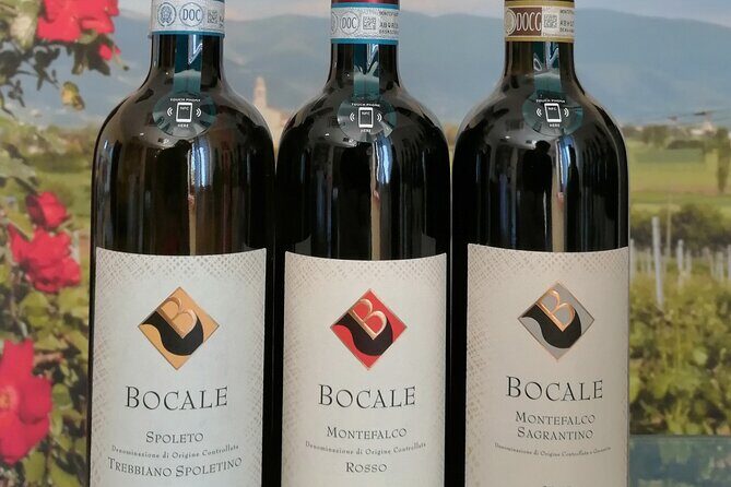 TASTING Selection of 3 wines in Montefalco - Key Points