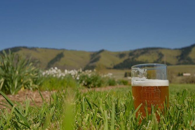 Tasting the Gorge by Ebike - An In-Depth Look at the Tour Experience