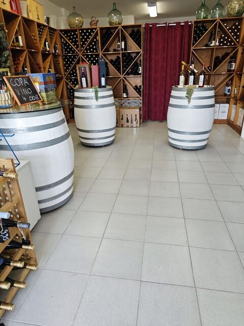 Tasting wines from Mallorca - Vinothek Cala Mandia - A Welcoming Setting in Cala Mandia
