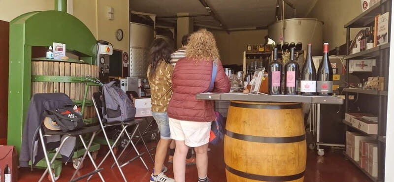 tasting wines in the vineyards with hotel pickup hotel - An Overview of the Experience