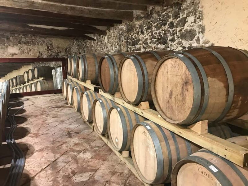 tasting wines in the vineyards with hotel pickup hotel - The Value of the Tour