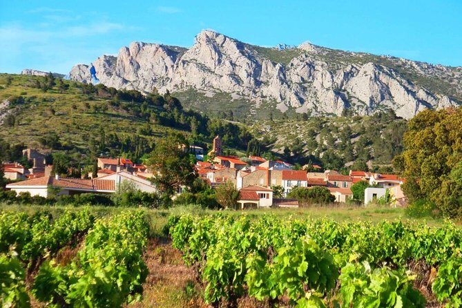 tasting workshop of 6 to 8 wines with charcuterie chocolate cheese - Discover the Authentic Charm of a Perpignan Wine Tasting Workshop