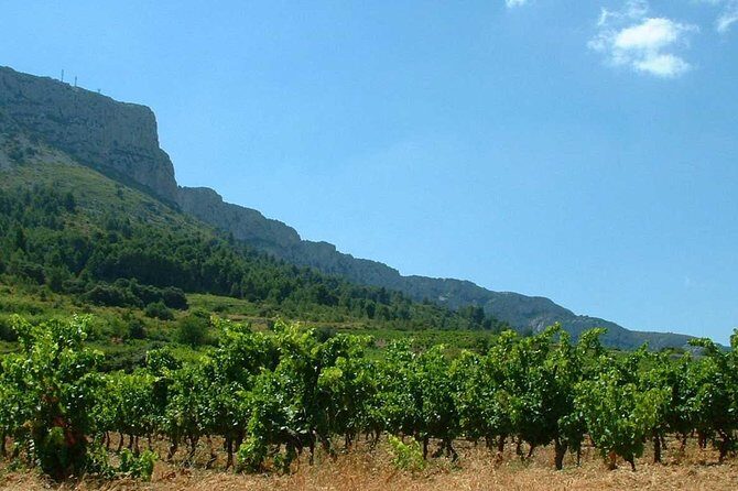 tasting workshop of 6 to 8 wines with charcuterie chocolate cheese - Who Should Book This Experience?