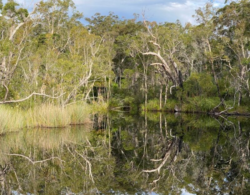 Tasty Noosa Everglades - An In-Depth Look at the Tasty Noosa Everglades Tour