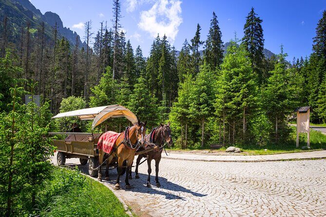 Tatra Mountains and Zakopane Full-Day Tour from Krakow - FAQ