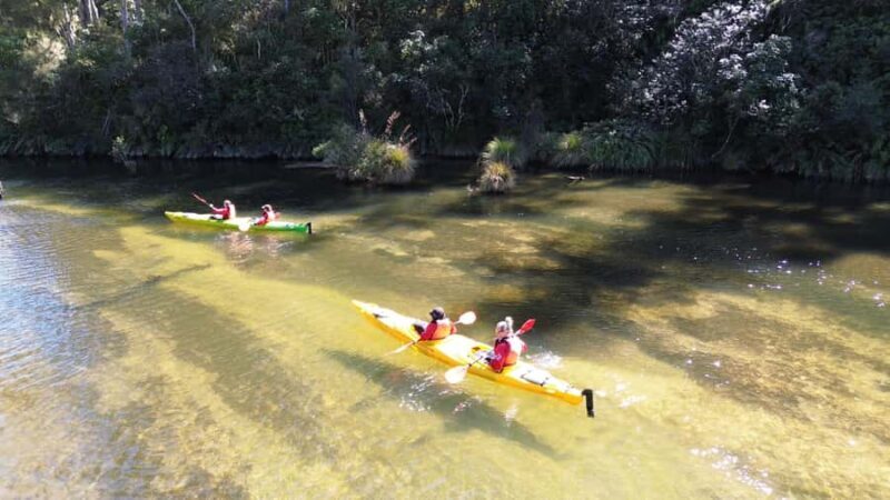 Taup: Hidden Lake Kayak Tour with Sunken Forest Views - An In-Depth Look at the Hidden Lake Kayak Tour