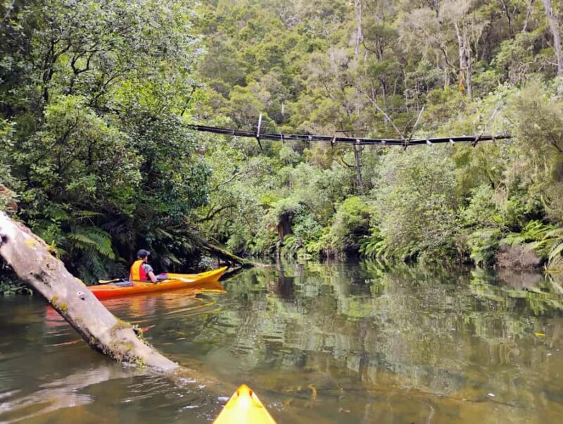 Taup: Hidden Lake Kayak Tour with Sunken Forest Views - FAQs