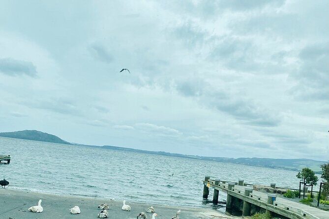 Taup to Auckland via Rotorua and Hobbiton - Arriving in Auckland: The Vibrant City of Sails