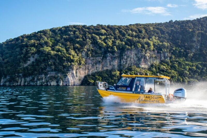 Taupo: Lake Taupo Western Bays Catamaran Tour with Bush Walk - What to Expect on the Tour