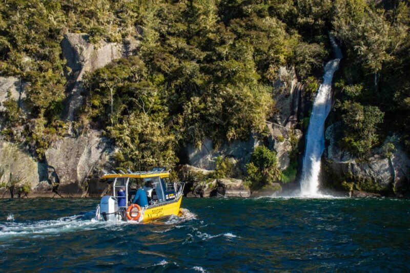 Taupo: Lake Taupo Western Bays Catamaran Tour with Bush Walk - Final Thoughts: Is This Tour Worth It?