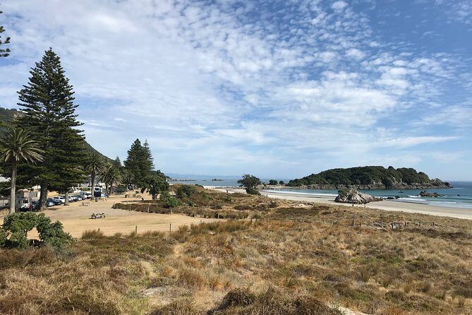 Tauranga City & History Scenic Tour  2 Hours - Who Should Consider This Tour?