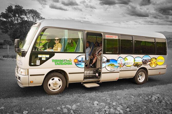 TAURANGA City & Scenic Sightseeing 2-hour Local Bus Tour - Authentic Experiences and Real Traveler Feedback
