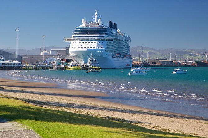 TAURANGA City & Scenic Sightseeing 2-hour Local Bus Tour - The Sum Up