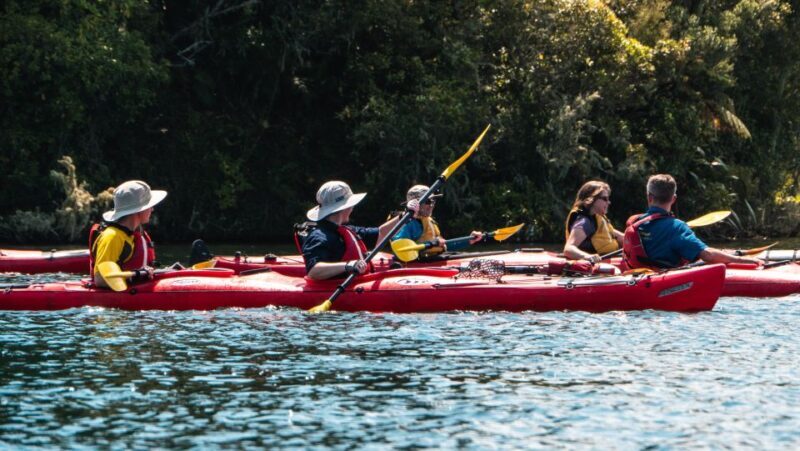 Tauranga: Daytime Scenic Lake McLaren Kayak Tour - FAQs