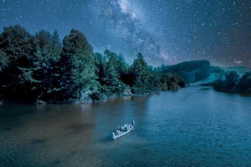 Tauranga: Evening Big Kanu Glowworm Tour - An Overview of the Glowworm Experience in Tauranga