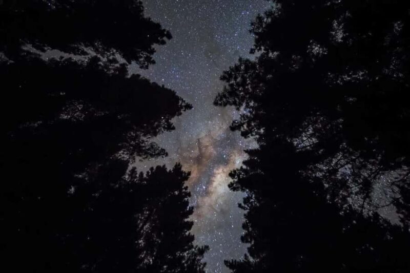 Tauranga: Evening Big Kanu Glowworm Tour - Pricing and Value