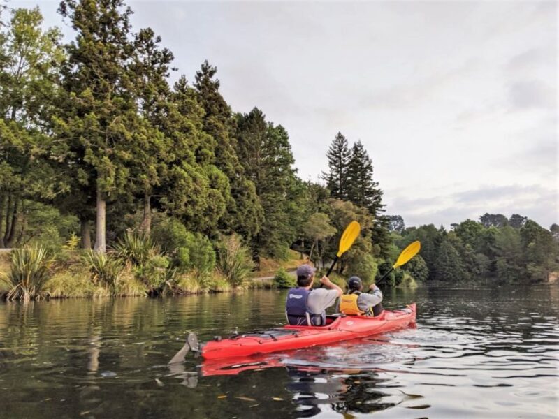 Tauranga: Evening Glowworm Kayak Tour - An Introduction to an Enchanting Night