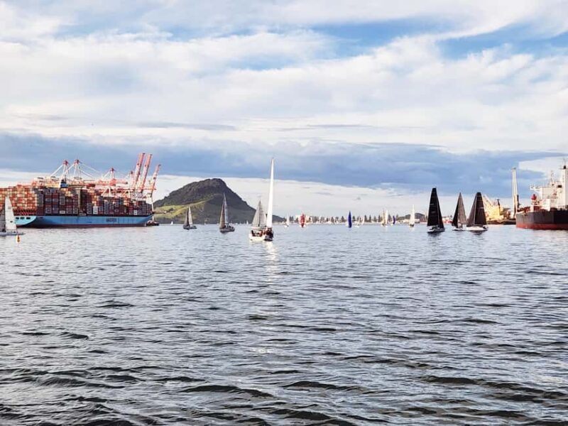 Tauranga Harbour Cruise - Key Points