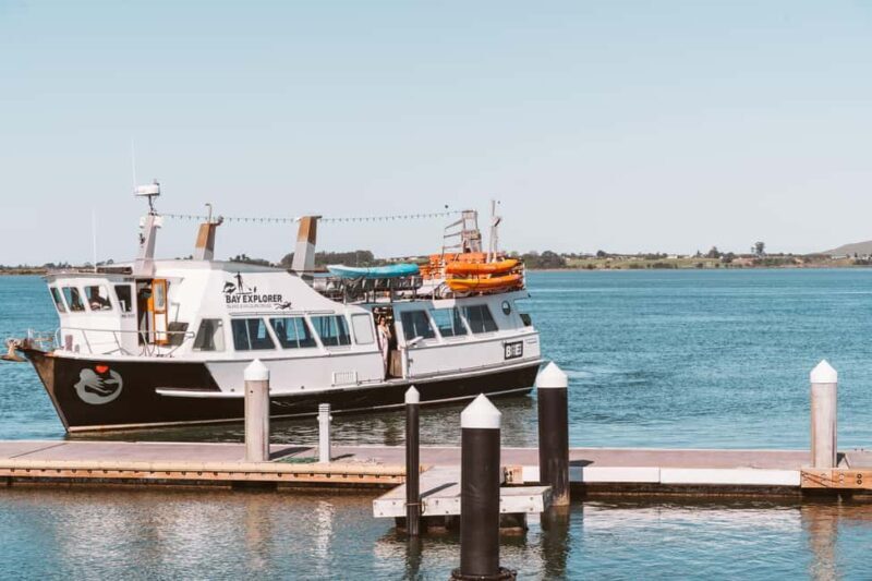 Tauranga Harbour Cruise - In-Depth Review of the Tauranga Harbour Cruise