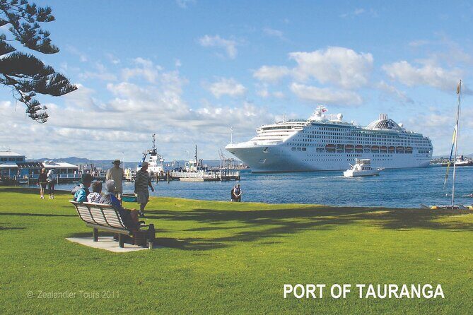 Tauranga Private Shore Excursion: Wai-O-Tapu Thermal Wonderland - The Practicalities and Value