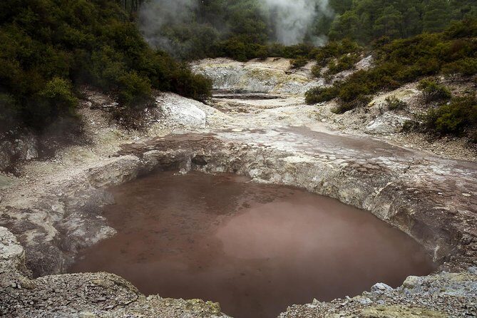 Tauranga Private Tour - Rotorua Geysers & Wai O Tapu Wonderland. - Key Points