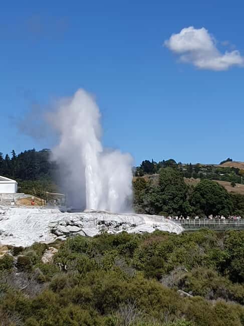 Tauranga: Rotorua Redwoods Tour & Maori Village Experience - An Idyllic Start in Tauranga and a Scenic Drive Along the Coast