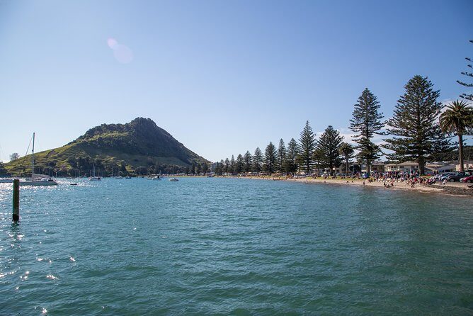 Tauranga Shore Excursion: History & Kiwifruit Tasting  4 Hours - Starting Point and Overall Logistics