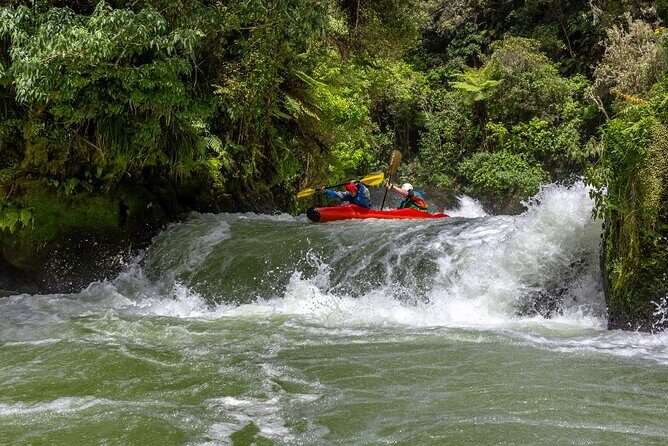 Tauranga Shore Excursion: Rotorua Highlights - Tauranga Shore Excursion: Rotorua Highlights – An In-Depth Review