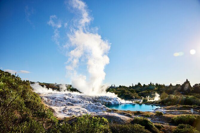 Tauranga Shore Excursion: Rotorua Highlights - Frequently Asked Questions
